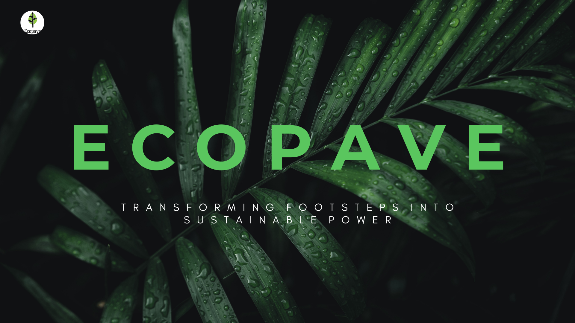 EcoPave – The Kid Company